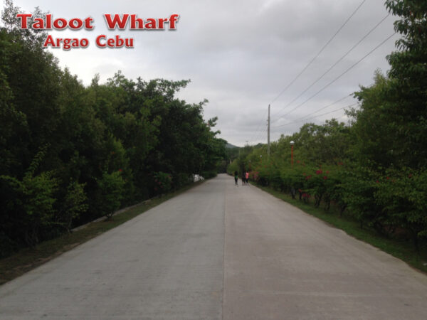 Early morning spin in Taloot Wharf Argao - Laruy-laruy Sa Sugbo